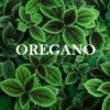 Oil of Oregano | Human Paratuberculosis Foundation